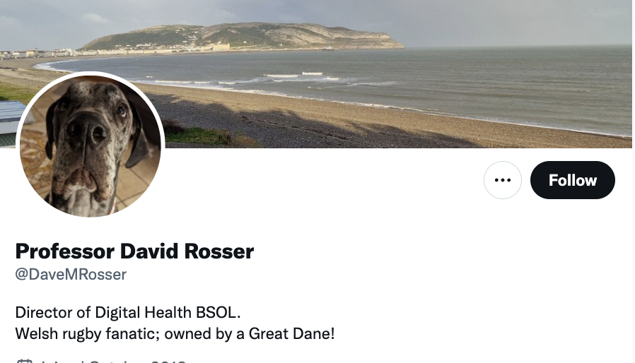 When is a Professor a Professor: Does the routine use of honorifics ...